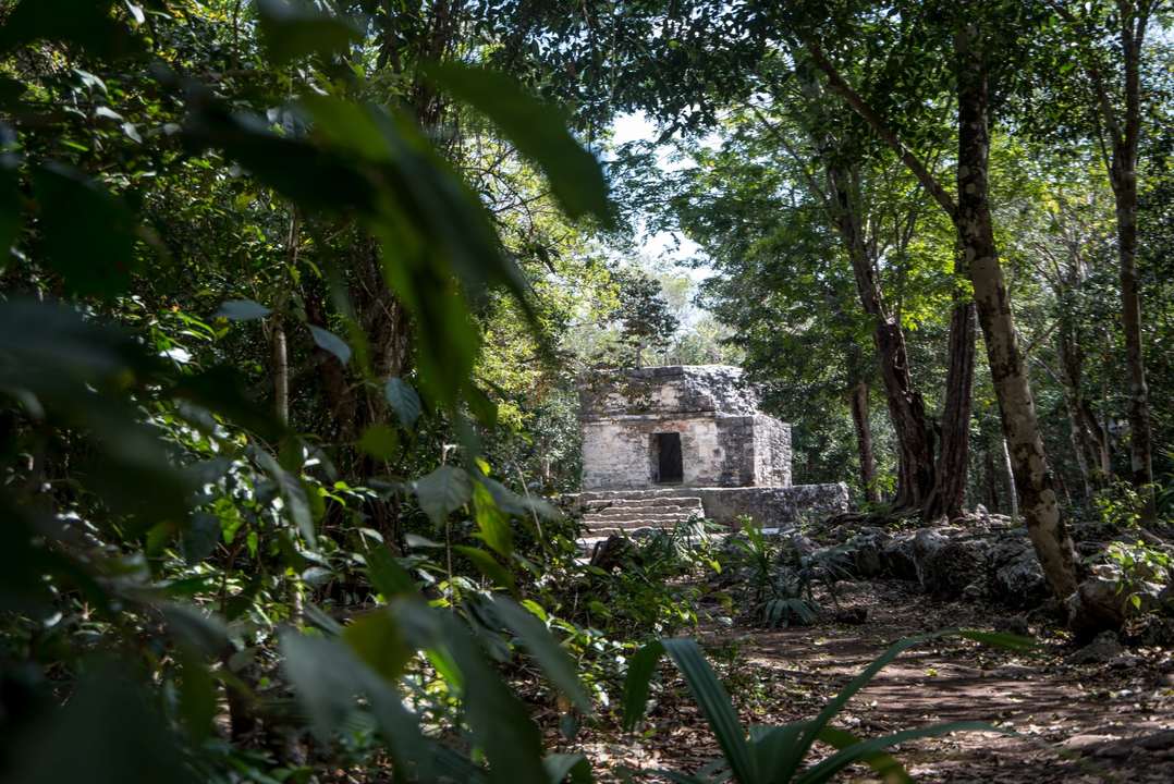 San Gervasio Mayan Ruins in Cozumel