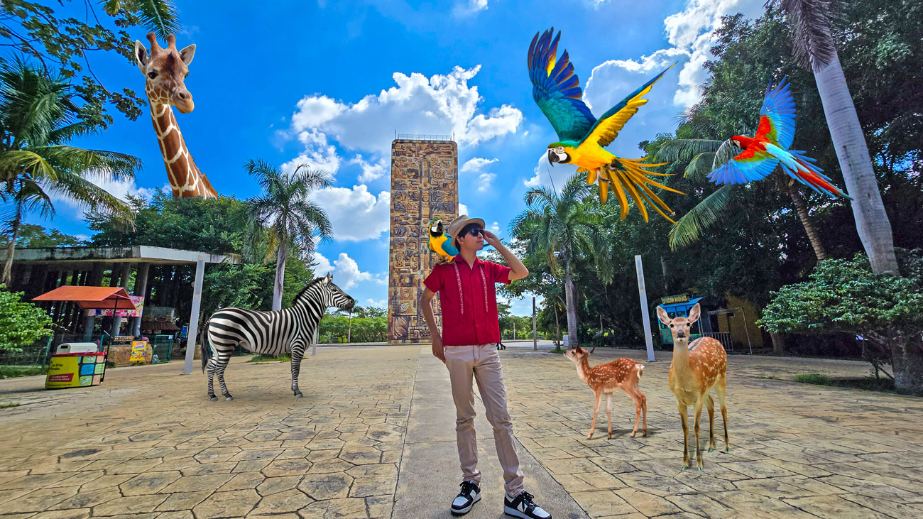 Parque Animaya (Zoológico del Bicentenario) en Mérida | Vive un Safari ...
